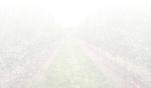 株式会社ソーサ SOSER CO.,LTD